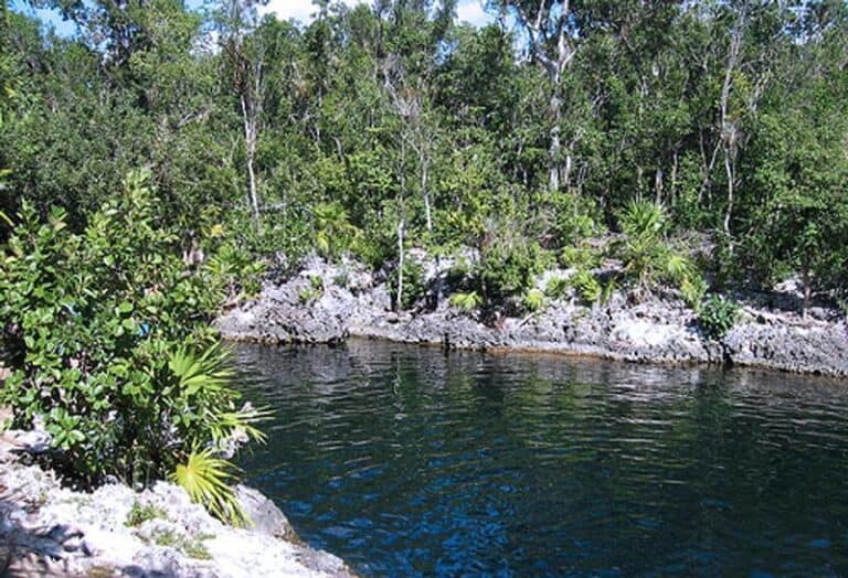 Cueva de los Peces D-CUBA Noticias